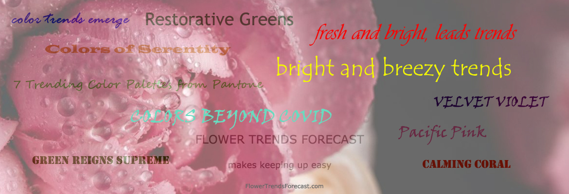 Flower Trends Forecast - Flower Trends Forecast